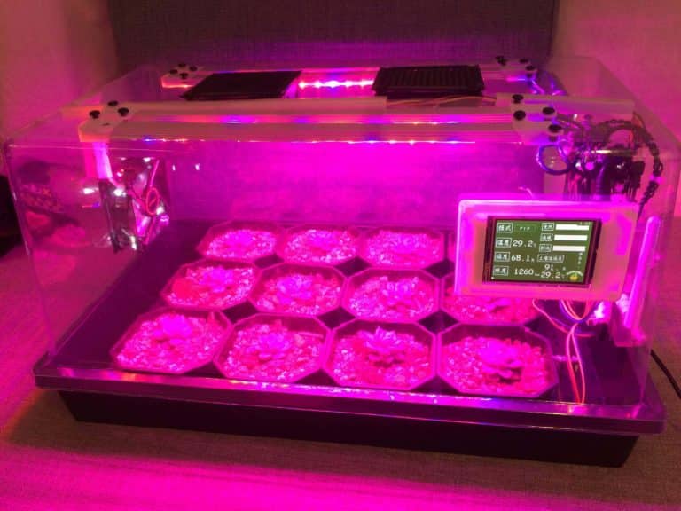Build a Smart Desktop Greenhouse